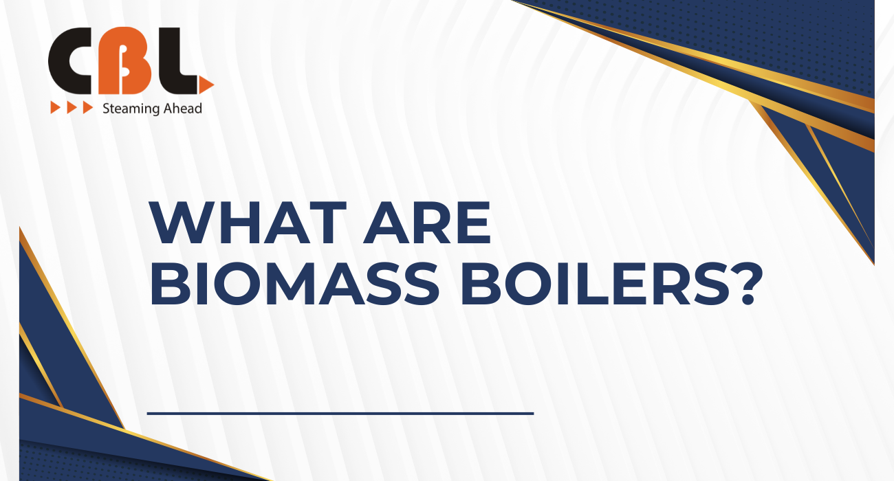 How Biomass Boilers Are Revolutionizing Renewable Energy
